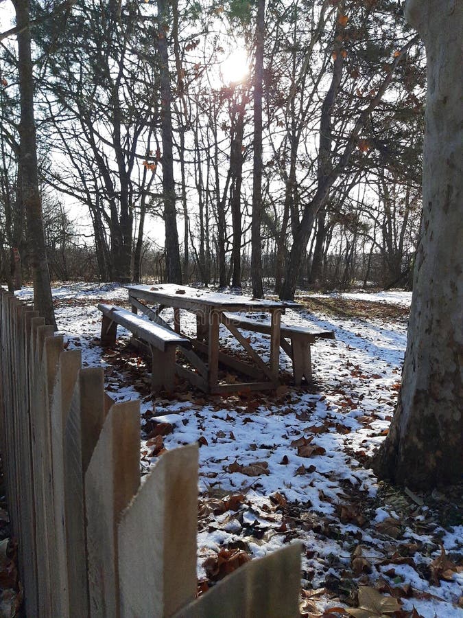 Winter is coming stock image. Image of winter, coming - 166107451