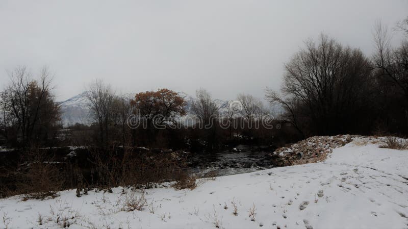 Winter is Coming and Snow ! Stock Image - Image of season, artistic ...