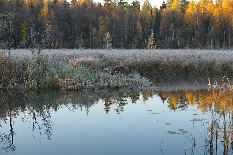 Winter is coming soon stock photo. Image of coming, tree - 99015902