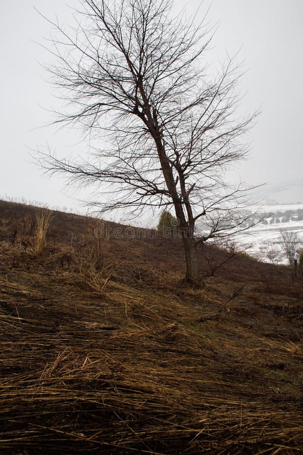 Winter is coming soon stock image. Image of melancholy - 99383587