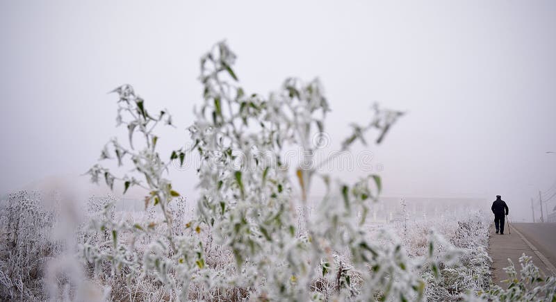 Winter is comning stock image. Image of central, house - 47311229