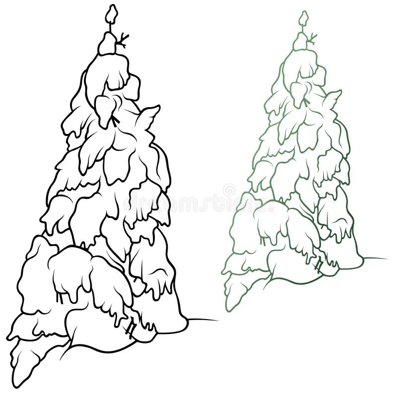 Winter Coniferous Tree stock vector. Illustration of wood - 37991520