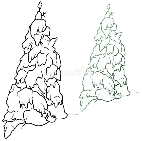 Winter Coniferous Tree stock vector. Illustration of wood - 37991520