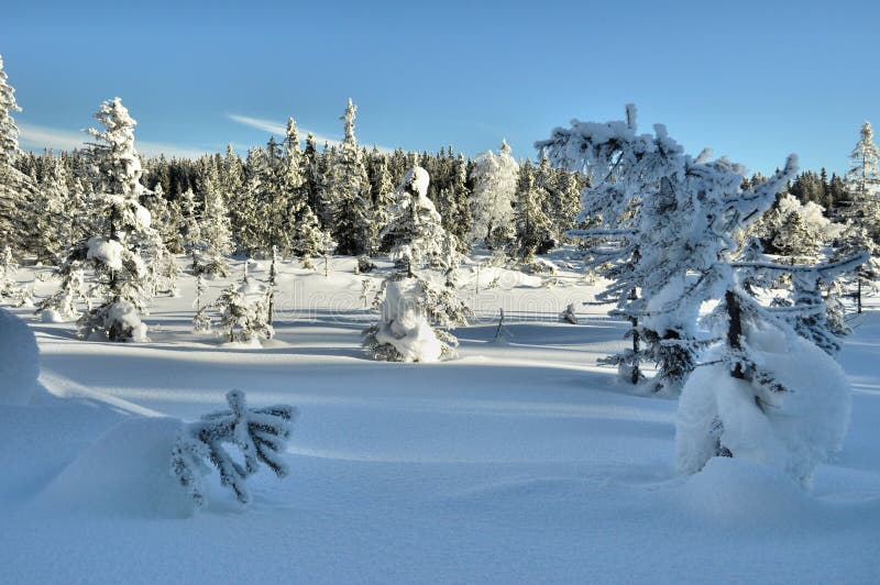 Winter country stock image. Image of harmony, beautiful - 13440203