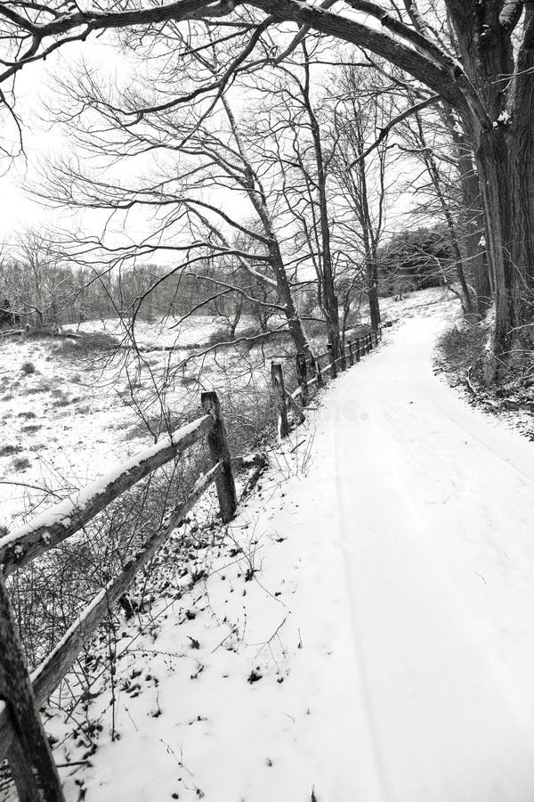 Country Road Winter Thaw Horizontal Stock Image - Image of leads, white ...