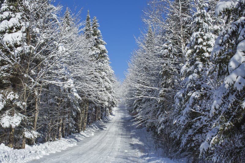 Winter country road stock image. Image of season, snow - 48332059