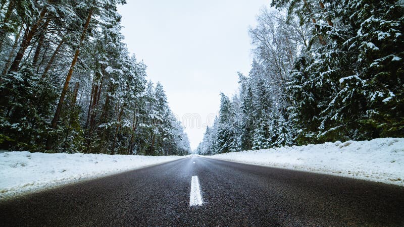 Winter Country Road with Fir Forest on the Side Stock Image - Image of ...