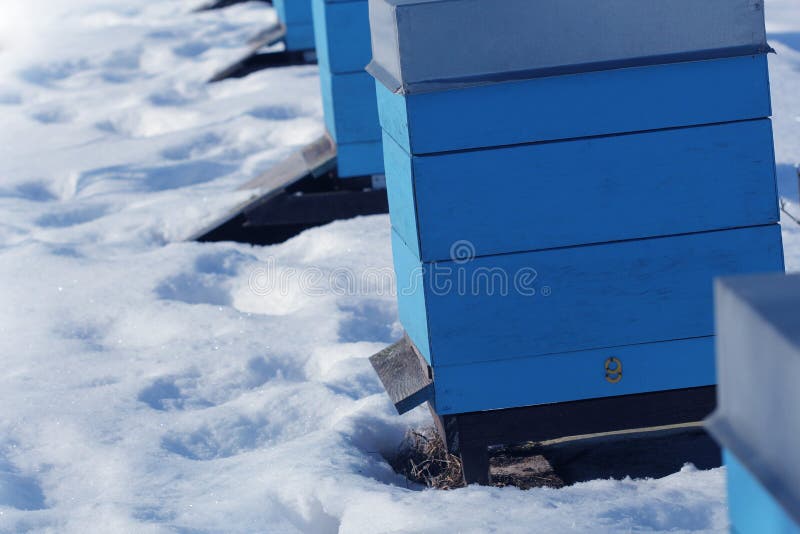 Winter Country Scene with Beehives Covered with Snow Stock Image ...