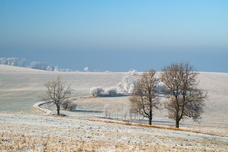 Winter in countryside stock photo. Image of nature, horizon - 22941664