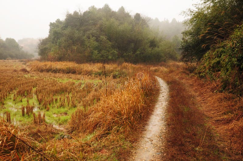 Winter in Countryside stock photo. Image of plant, hunan - 29372316