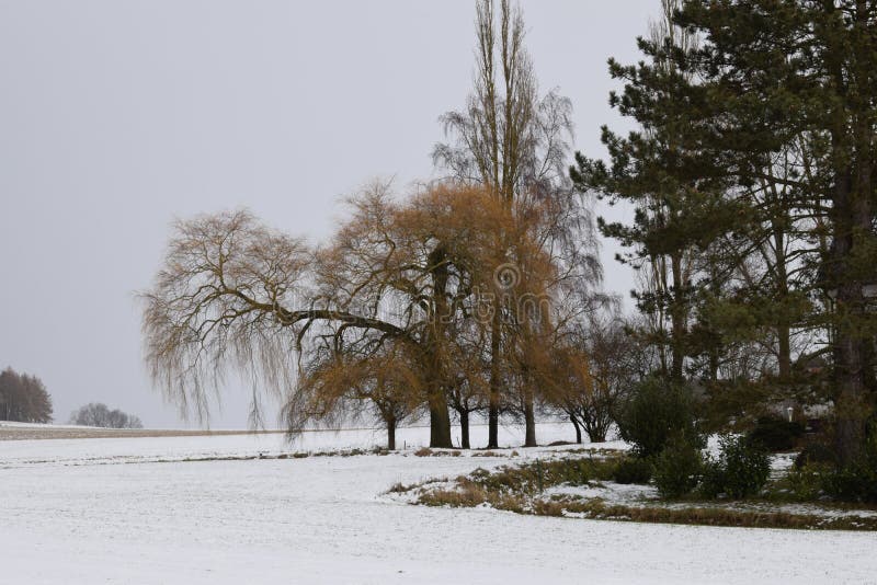 Winter in the Countryside in Germany Stock Photo - Image of mood ...