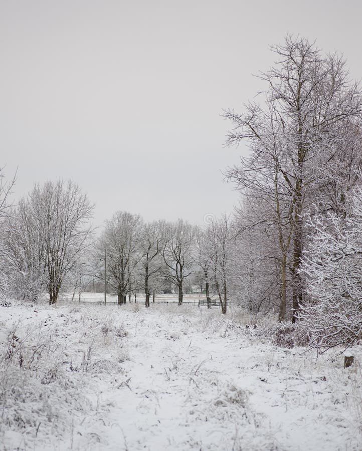 Winter countryside stock image. Image of blue, branch - 35932703