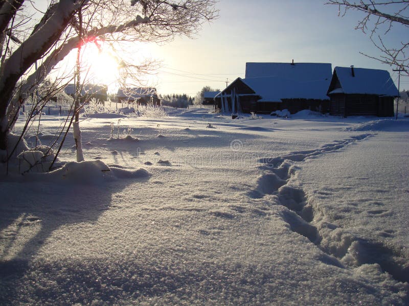 Winter in the countryside stock photo. Image of frost - 213022770