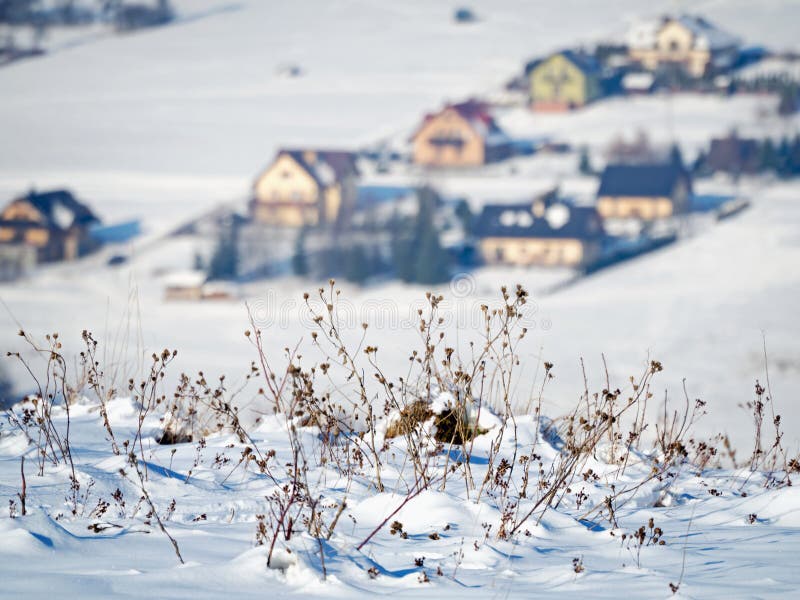 Winter in the countryside stock image. Image of city - 168919297