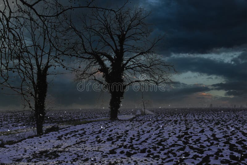 Winter Countryside Sunset with Snowfall and Snow Stock Image - Image of ...