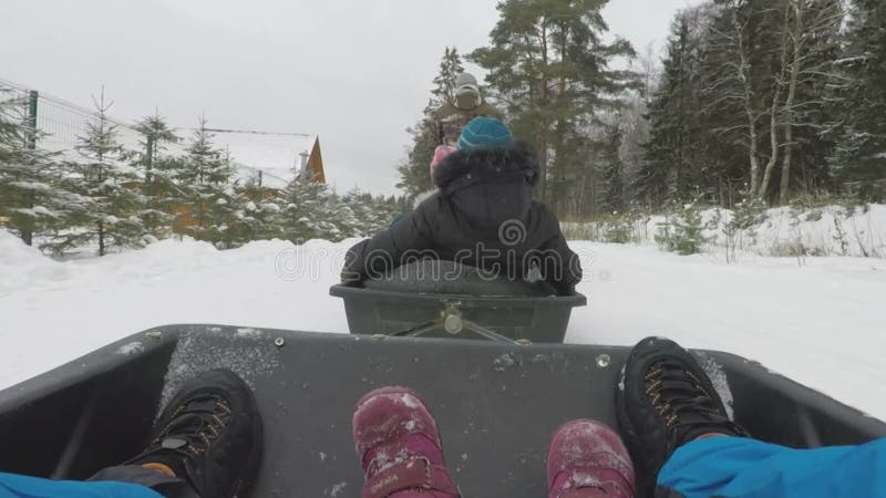 The Winter a Crawler Tractor Rides Children in a Sleigh through the ...