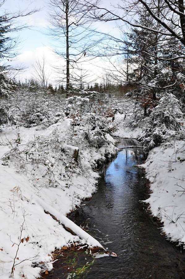 Creek In The Woods Nature Winter Flowing Water, Small River In The Snow ...