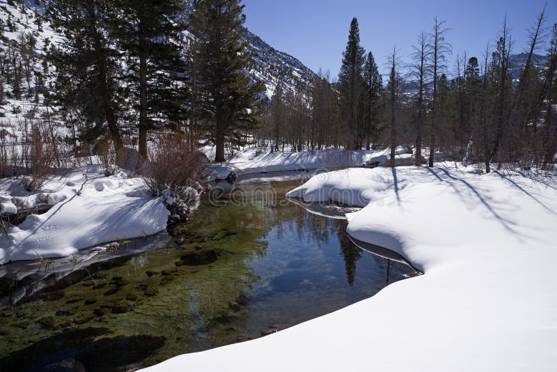 Winter Creek stock photo. Image of fork, water, flowing - 137976492