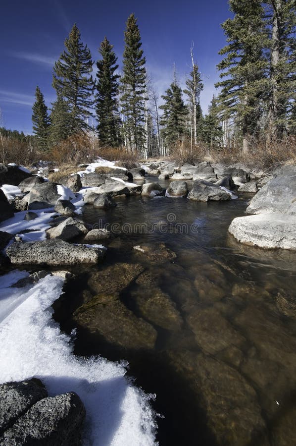 Winter Creek in Mountains of Utah Stock Photo - Image of nature, clean ...