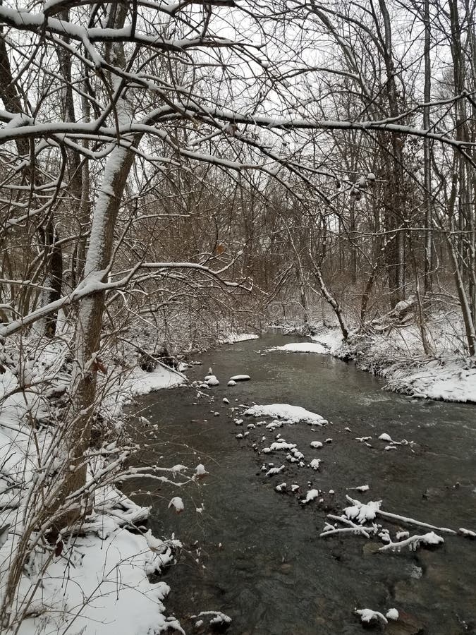Winter Creek With Snow Forest And Sun Star In Winter Sunny Day Stock ...