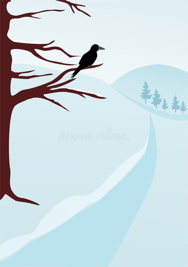 Crow Picture. Image: 779062