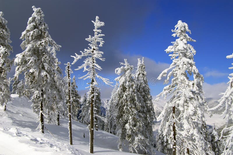Winter in Czech stock photo. Image of holiday, winter, wiev - 588678