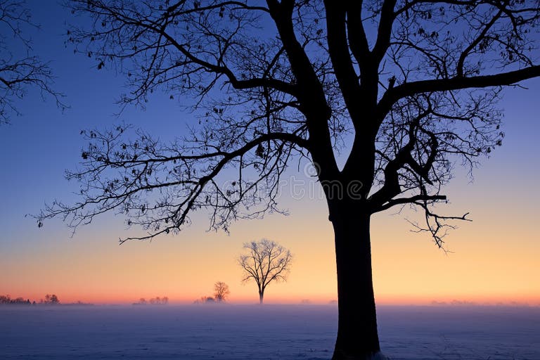 18,747 Foggy Winter Dawn Stock Photos - Free & Royalty-Free Stock ...