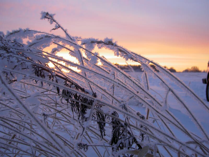 Fireworks stock image. Image of party, night, july, fireworks - 1238985
