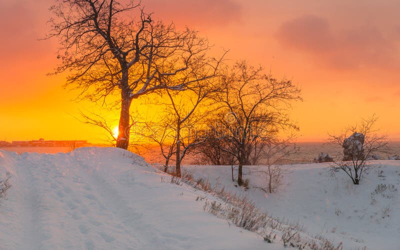 Winter dawn in Crimea stock photo. Image of resting, early - 65276708