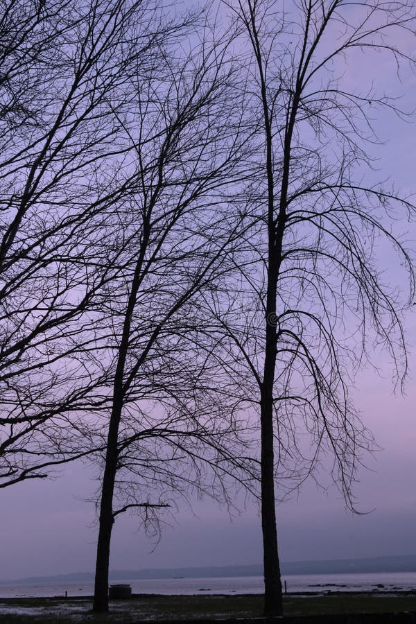 Winter day stock image. Image of landscape, nature, grey - 1710411