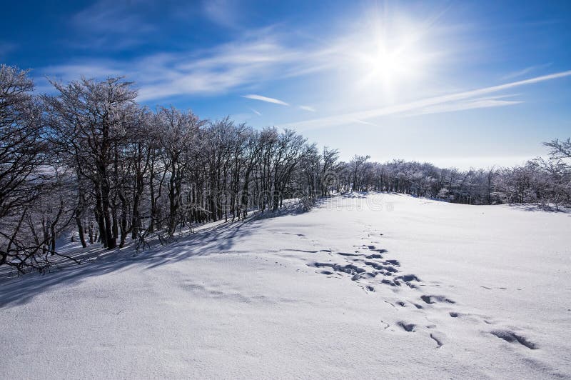 Winter day stock image. Image of climate, sunshine, christmas - 27540609