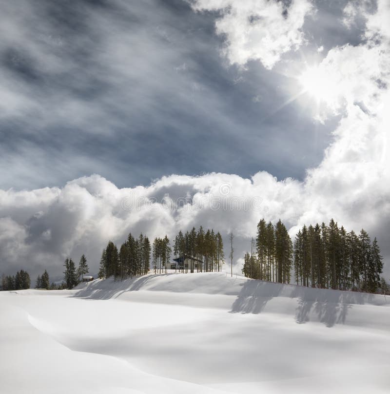 Winter day in the Alpes. stock photo. Image of tree, snow - 12450108