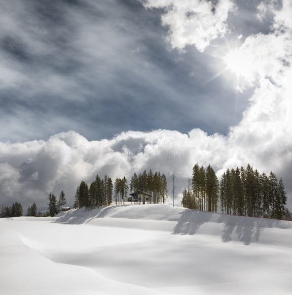 Winter day in the Alpes. stock photo. Image of tree, snow - 12450108