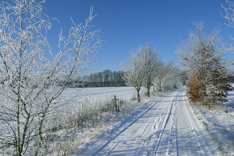 Winter day stock photo. Image of cold, park, scene, country - 83539350
