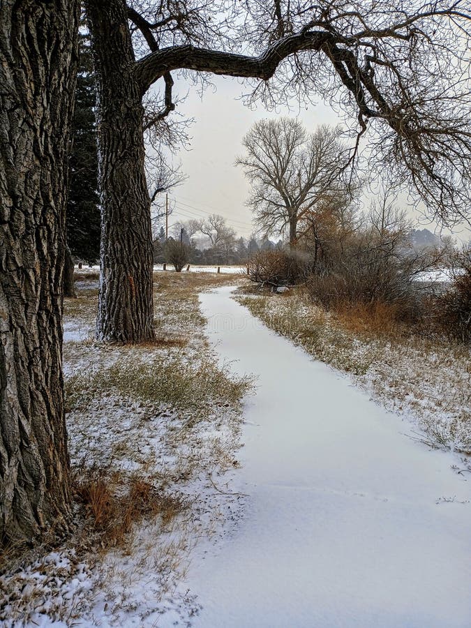 Winter Day at Lake Absarraca Tree Lined Path through the Snow. Stock ...