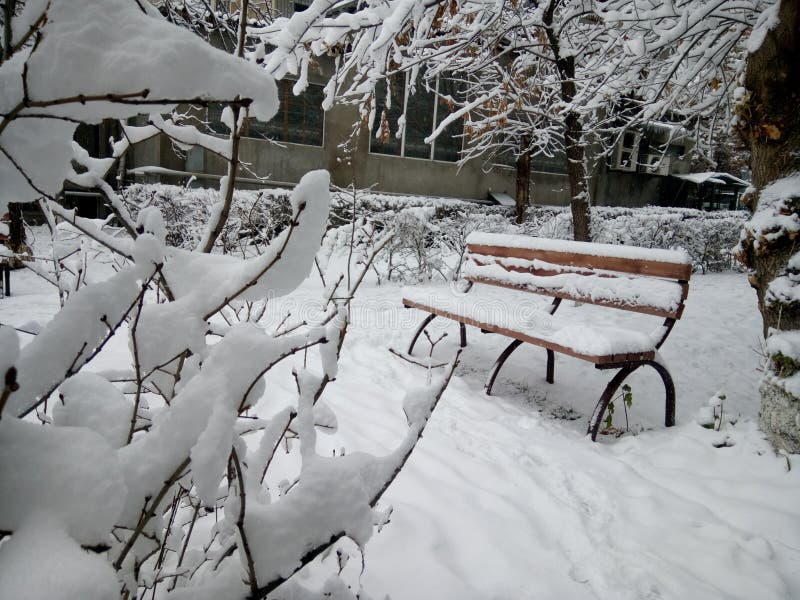 Winter day in Yerevan stock image. Image of branches - 82662765