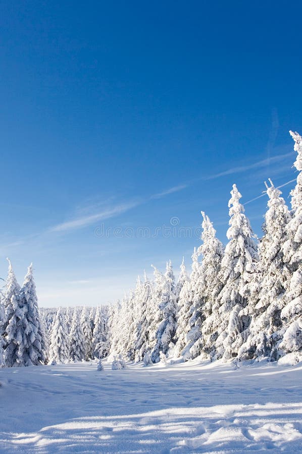 Winter Landscape - Snowfall Stock Image - Image of white, nature: 33496161