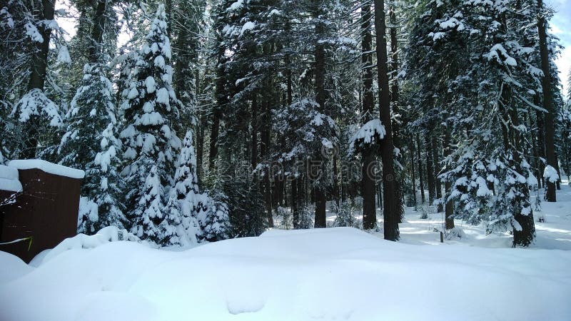 Winter den stock photo. Image of snow, mountains, winter - 151910346