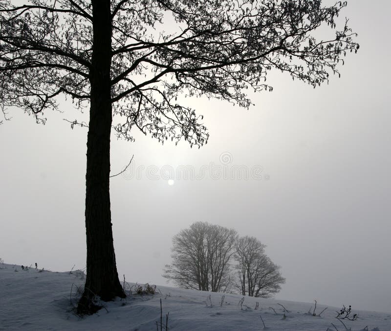 Winter in denmark stock photo. Image of dark, cool, freeze - 864724