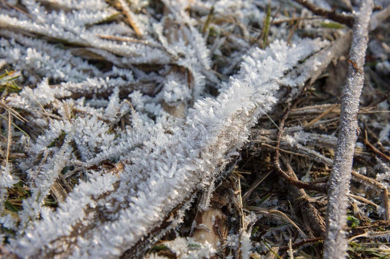 Winter details stock photo. Image of texture, frozen - 53988368