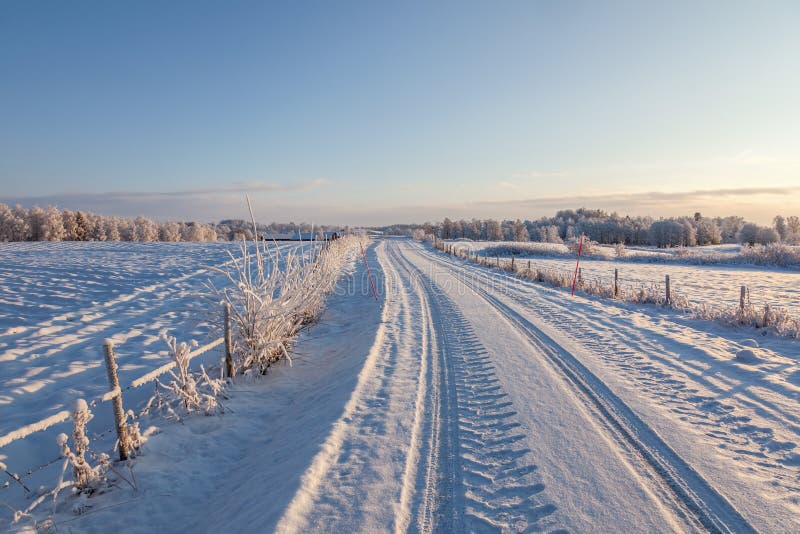 Winter dirt road stock photo. Image of isthmus, angle - 37118698