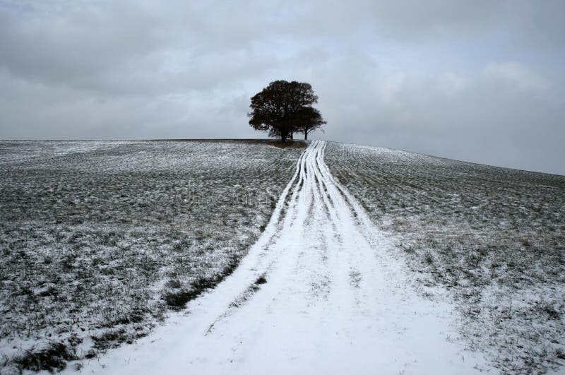 348 Not Biting Stock Photos - Free & Royalty-Free Stock Photos from ...