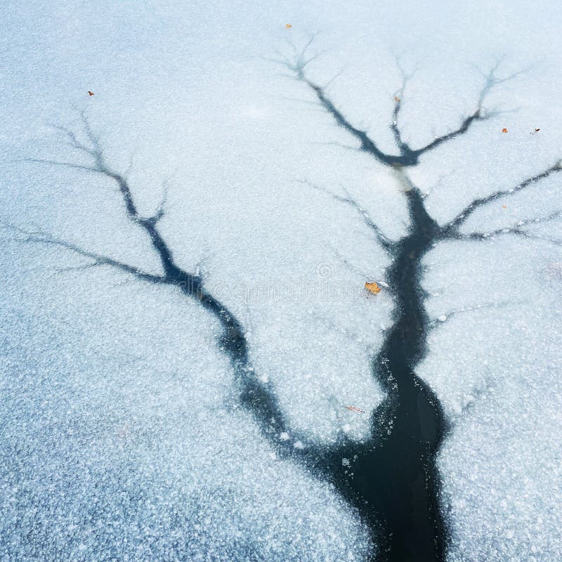Winter Drawing. Tree in Water Made Cold Stock Photo - Image of cold ...
