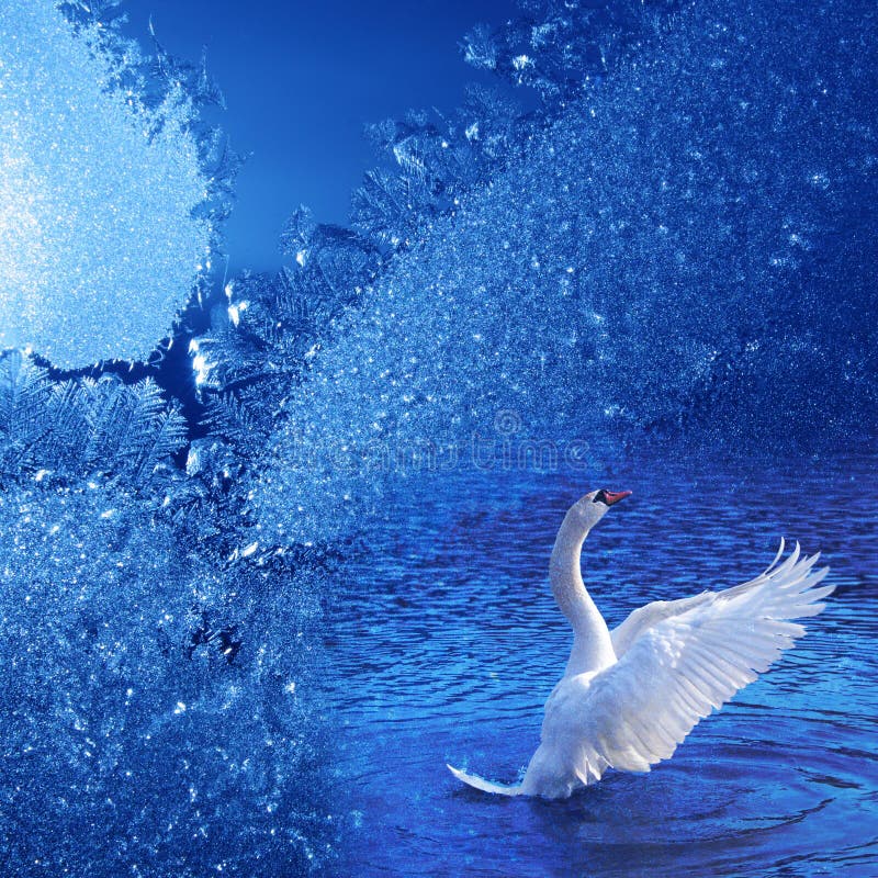 Wave Design Frosting Glass Pattern Stock Photos - Free & Royalty-Free ...