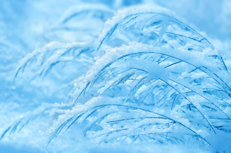 Winter Dream. stock photo. Image of cold, landscape, north - 28197142