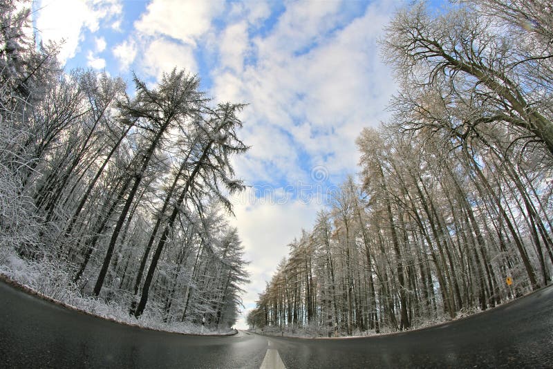 Winter dreams stock photo. Image of branches, street - 28206846