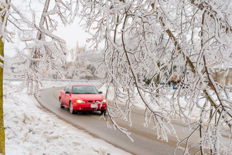 Whiteout Driving Conditions Stock Photo - Image of survive, danger: 2061078