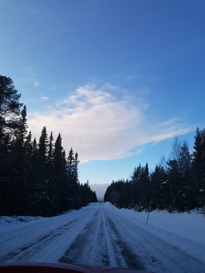 Winter Driving Cold Snow Sweden Forest Cloud Stock Photo - Image of ...