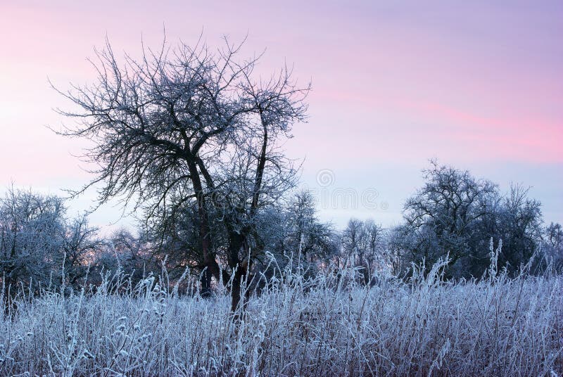 Winter early evening stock image. Image of europe, dawn - 13280609