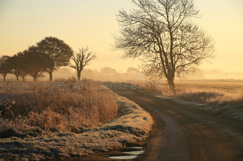Winter in the English Countryside Stock Photo - Image of norfolk, cold ...